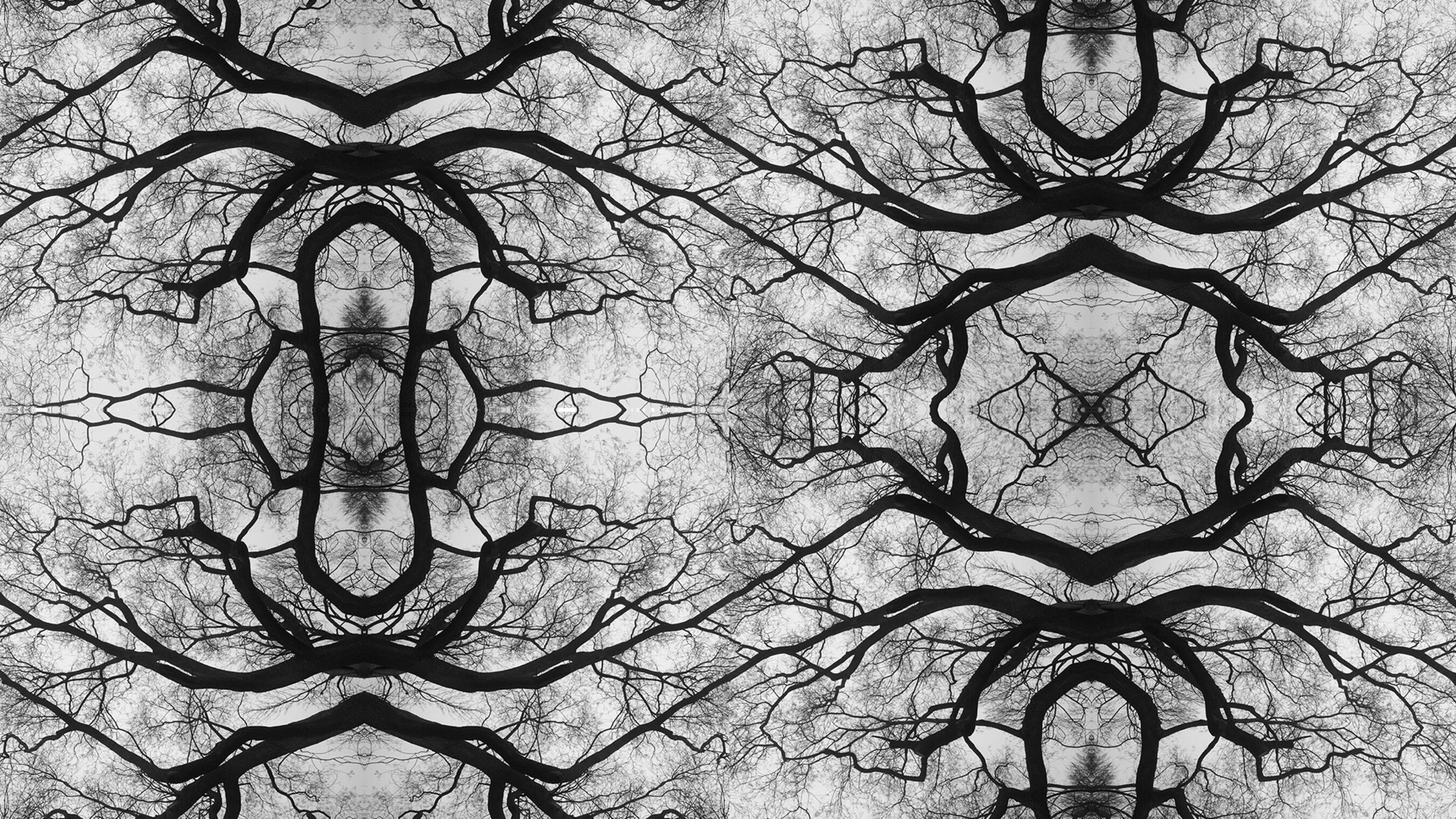 Laboratory for Cybernetics | CMU School of Architecture